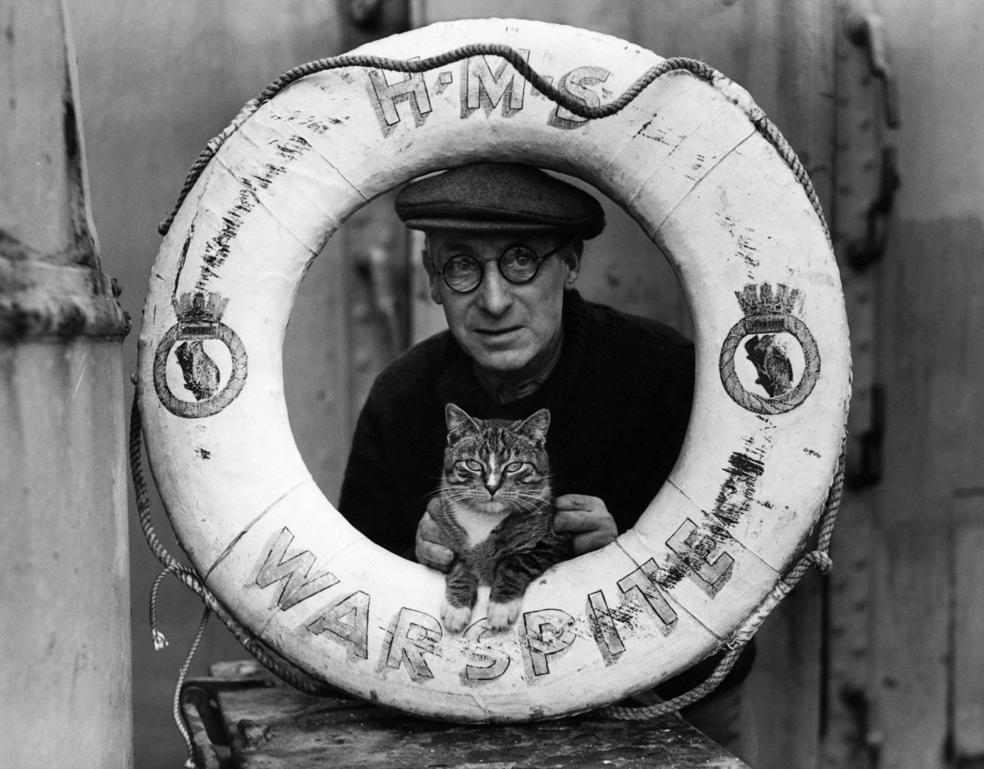 Ces chats sont les meilleurs amis des marins