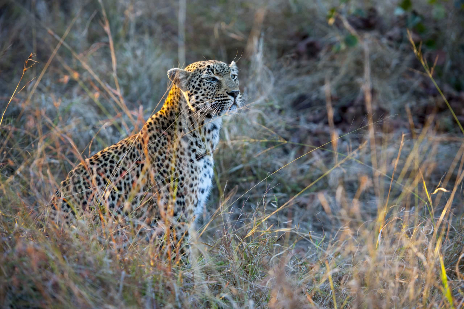 Everyday phrases you didn't know were borrowed from the Bible