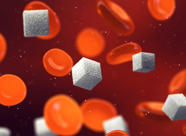 Is Your Pet Diabetic Here s What To Do