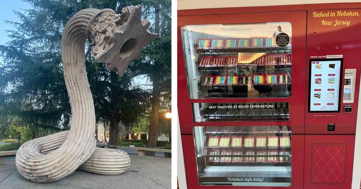 28 Randomized Photos of Cool and Fascinating Things