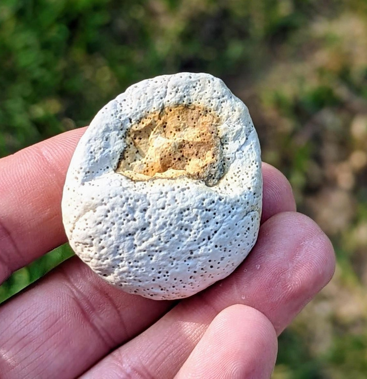 28 Intriguing Images and Fascinating Photos