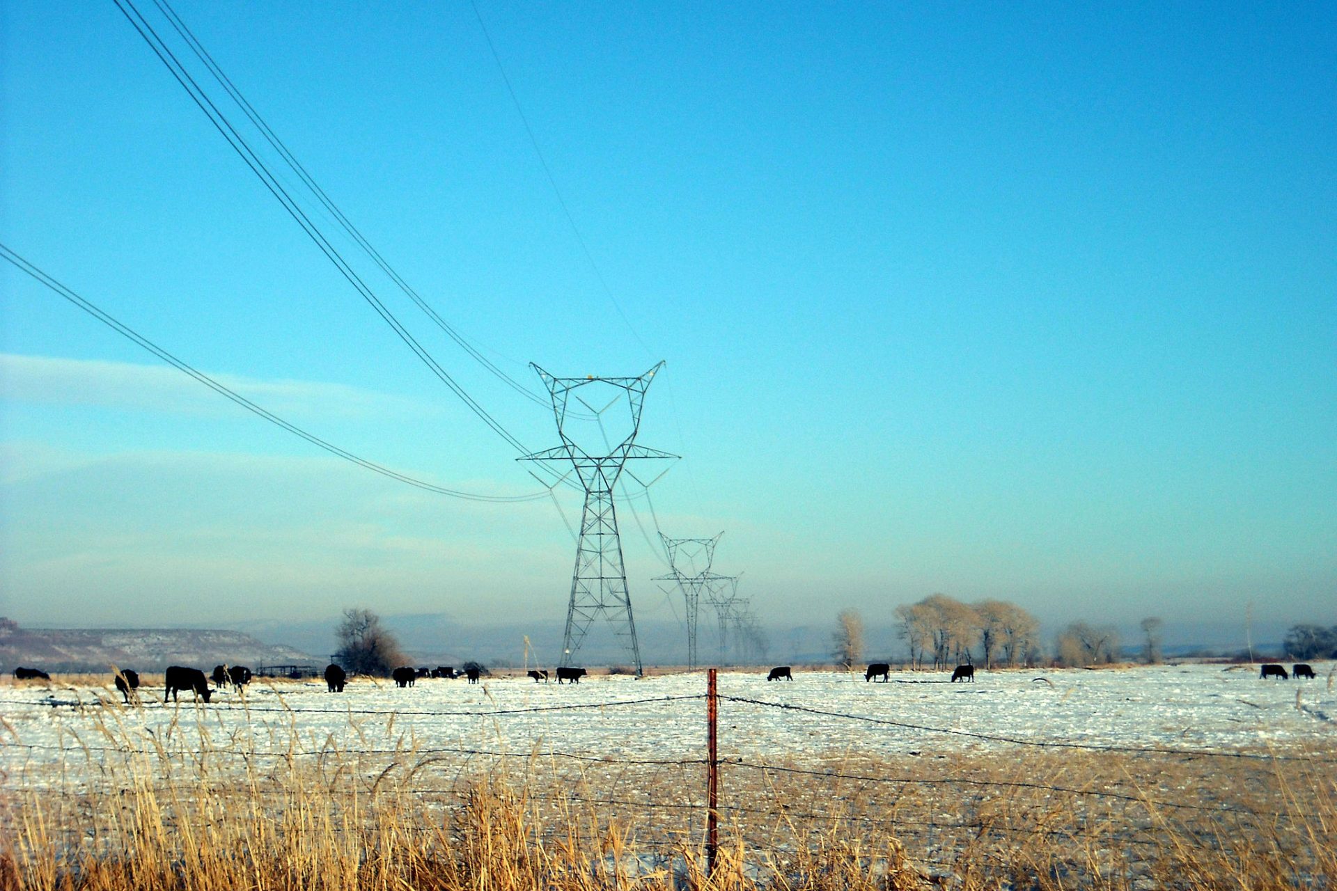 17 shocking facts about inventor Nikola Tesla