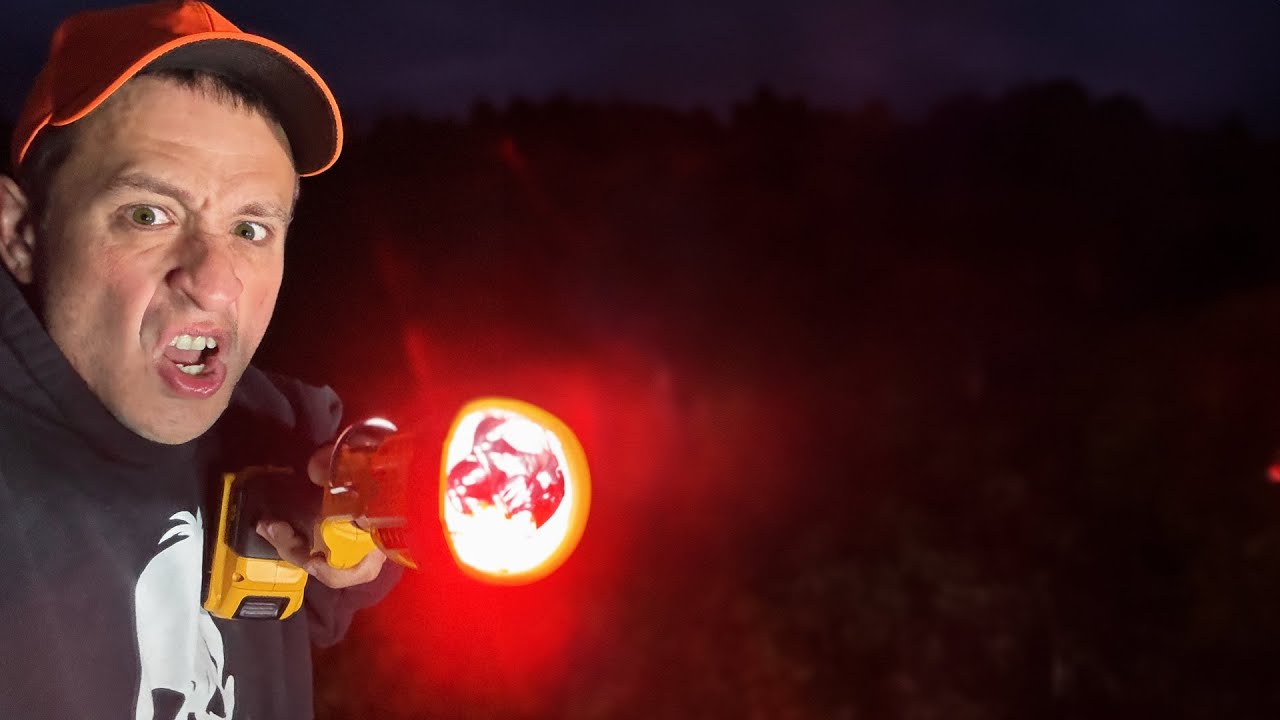 What unfolded during the scariest night of my farm life