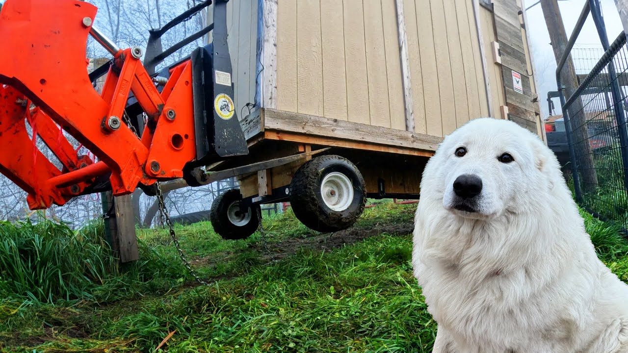 How to destroy a chicken coop in three easy steps