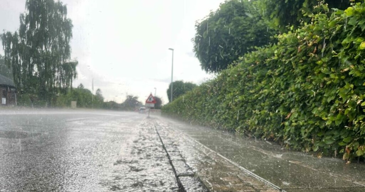 Dette skal du undersøge i din have, inden regnen kommer