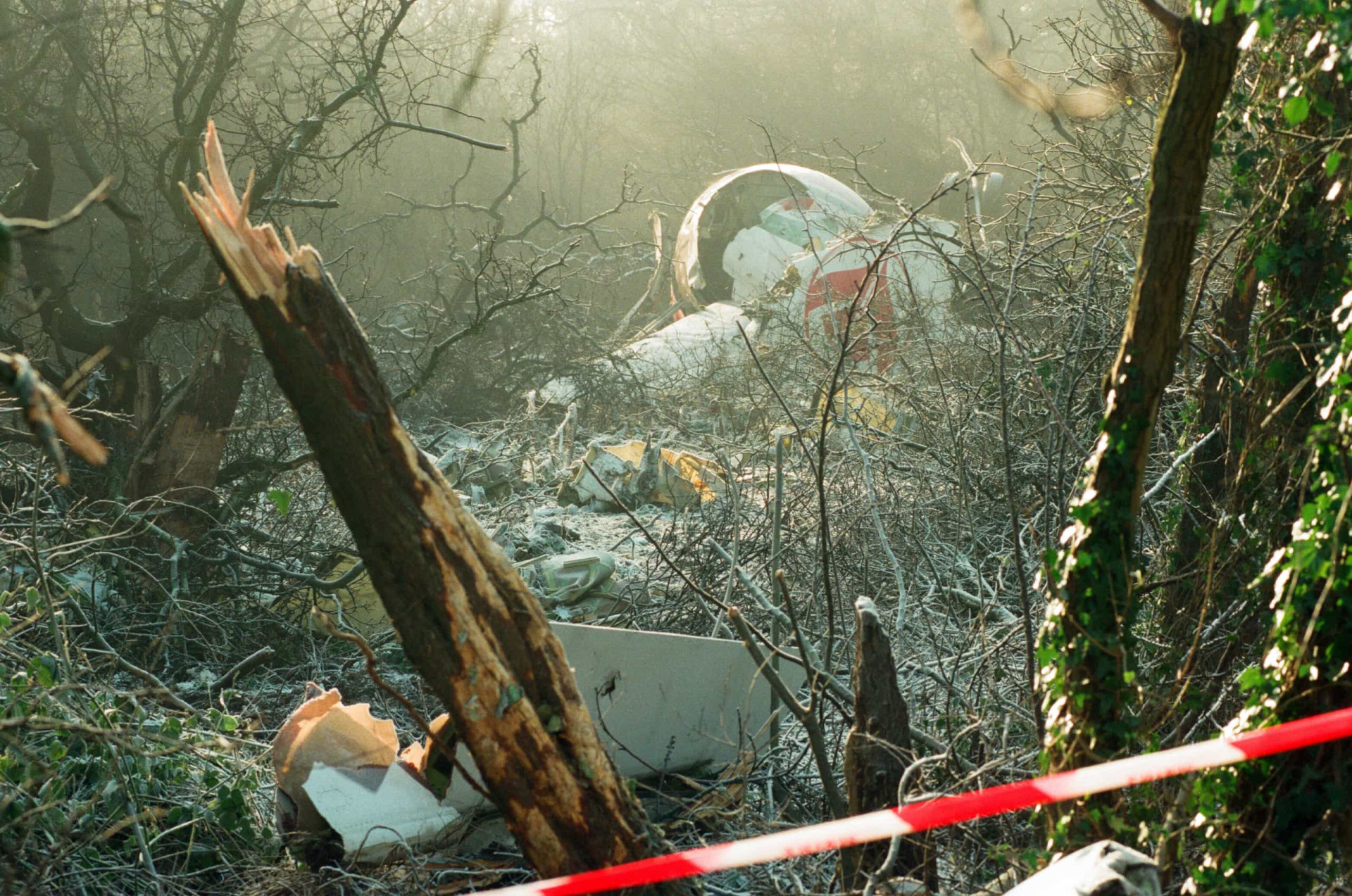 Miraculous stories of plane crash survivors