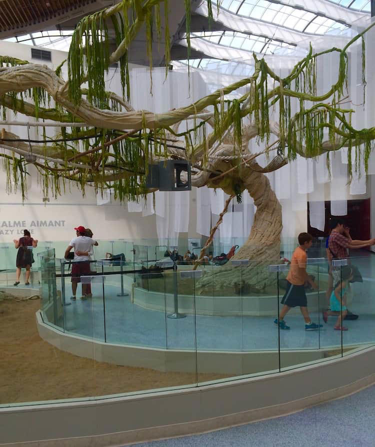 From the Montreal Insectarium to the Parc du Mont-Royal: 13 Things to ...