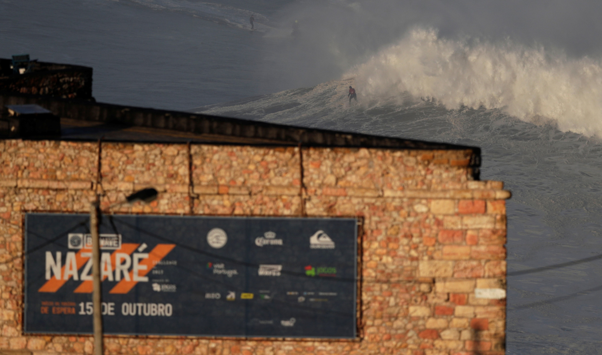 20 interesting facts about albino animals