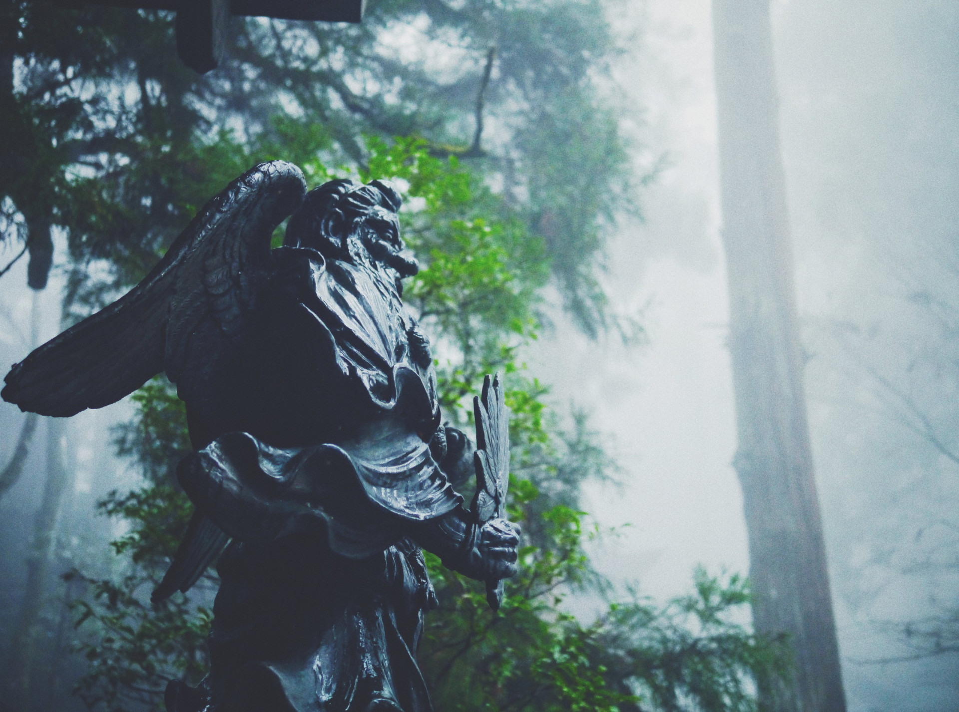 A journey into local legends around the world