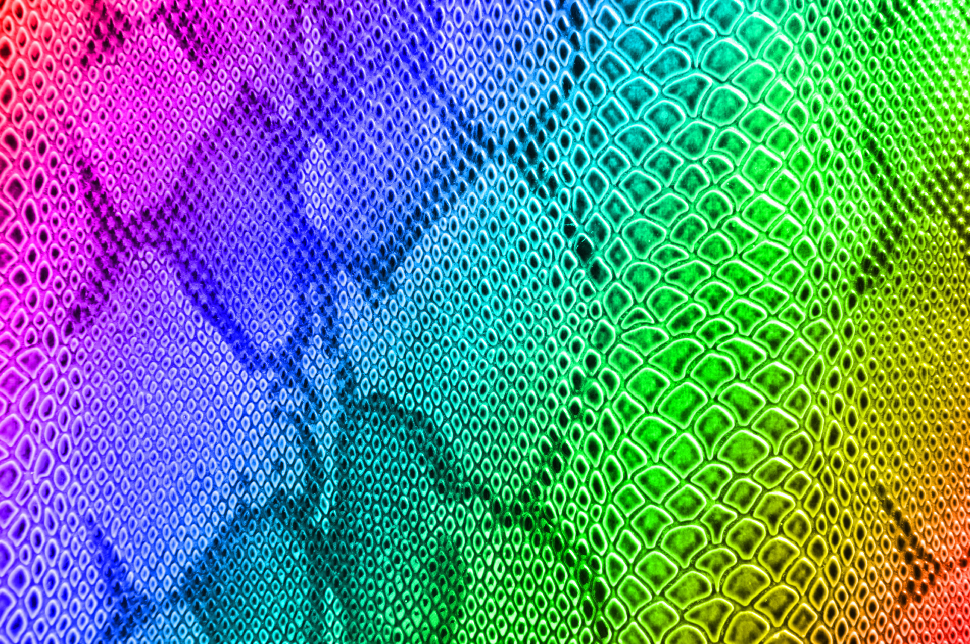 A journey into local legends around the world