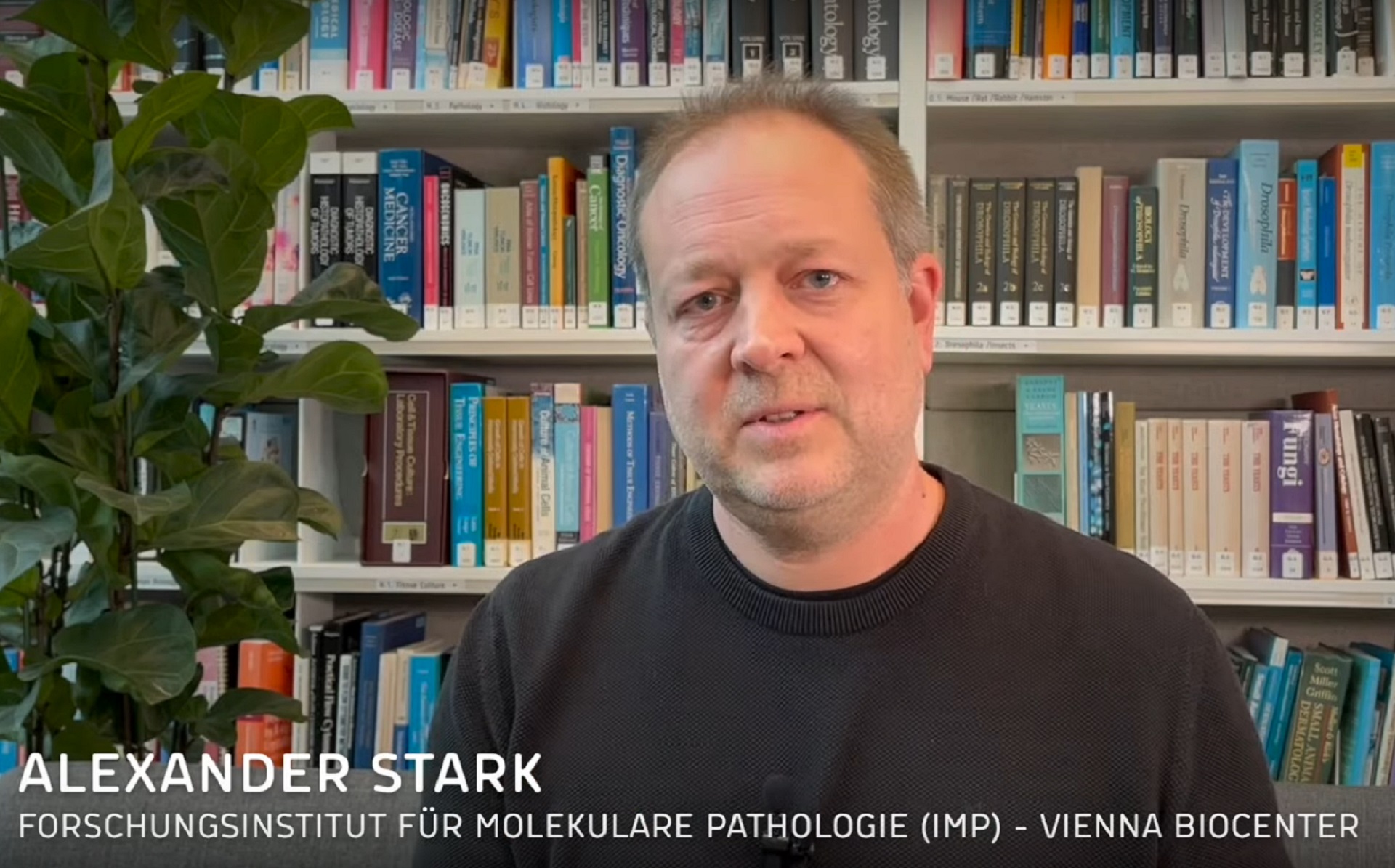 Le "deuxième code de la vie" décrypté, ou comment l'IA permet à la ...