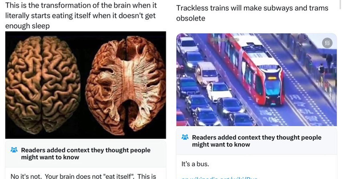 Publicly Shamed: 20 Times When Community Notes Cleared Things Up