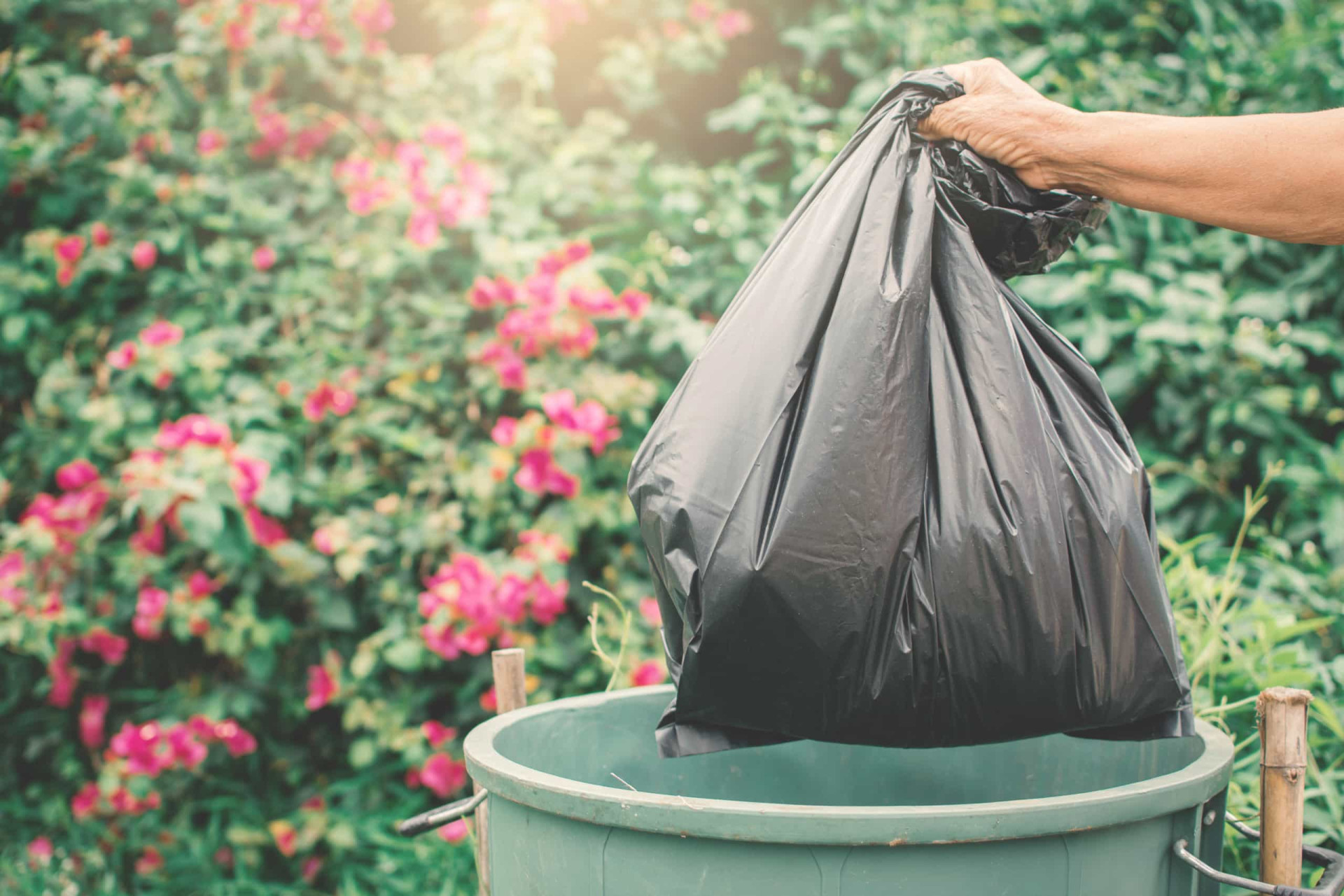 Garbology: the lessons we can learn from people's trash