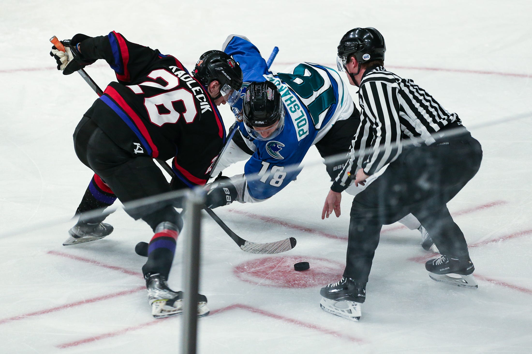 When do the IceRays play? Corpus Christi announces 2024-25 schedule