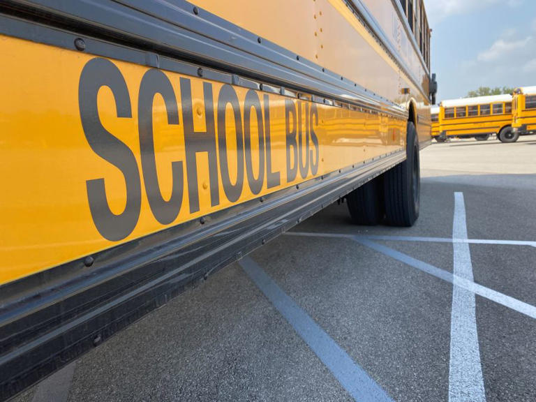 These Central Texas school districts have called bond elections for ...