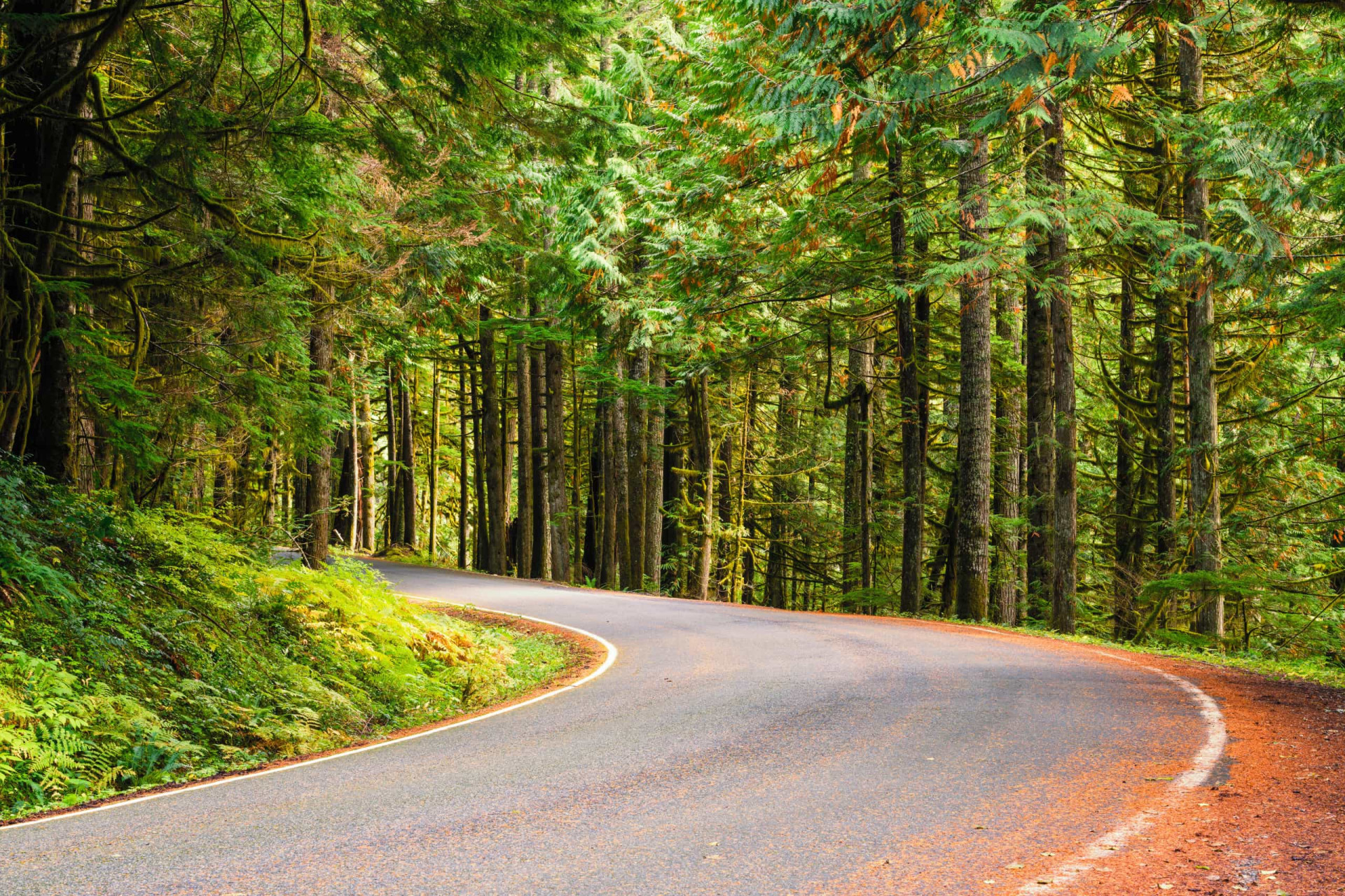 Cruising America's most haunted roads