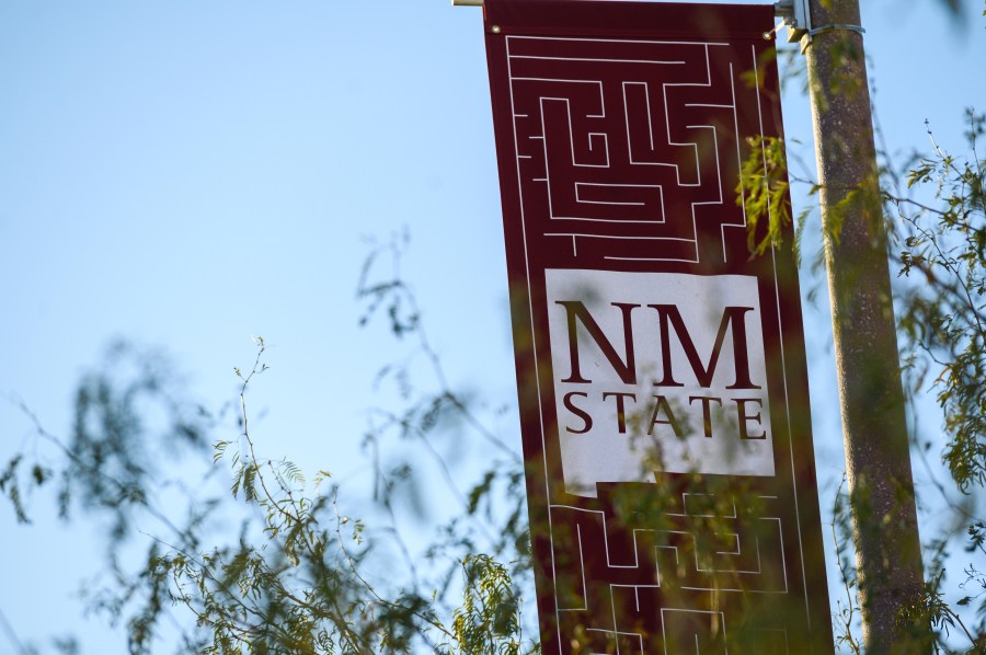 New Mexico State University to launch first degree in AI this fall