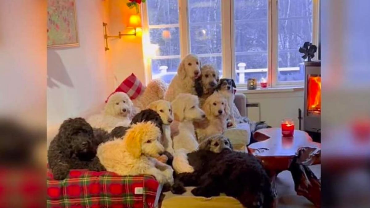 „So stelle ich mir den Himmel vor!“: Familie aus Schweden lebt ihren Traum