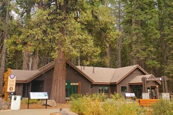 Calaveras Big Trees State Park - California