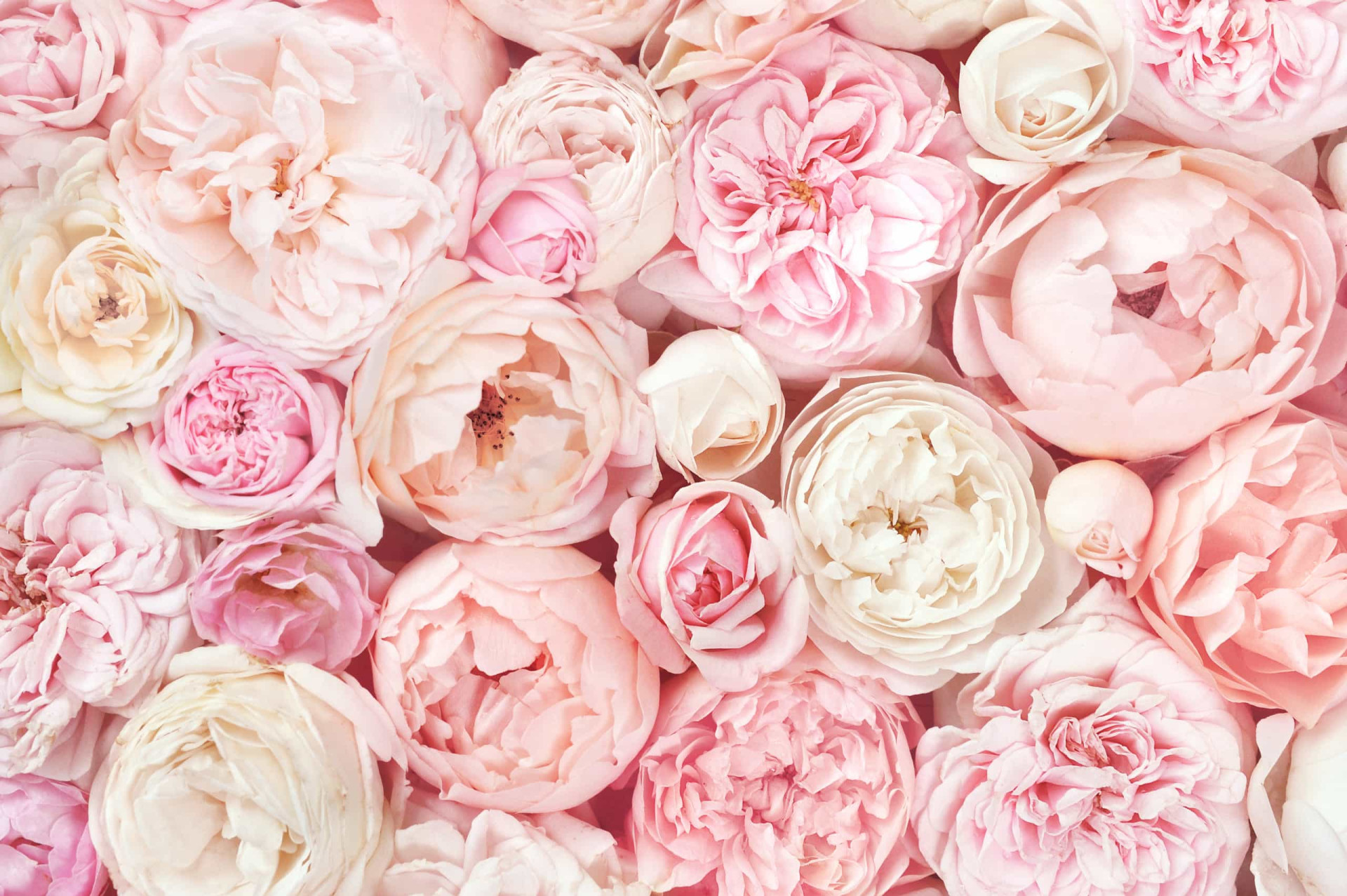 The meaning of colors and how they became symbolic