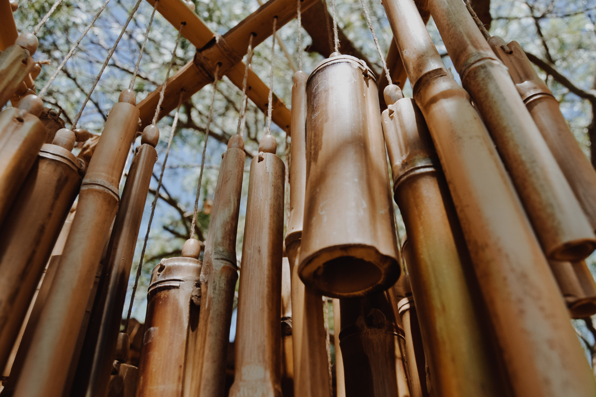 Who are the 33 Hindu deities of the Vedas?