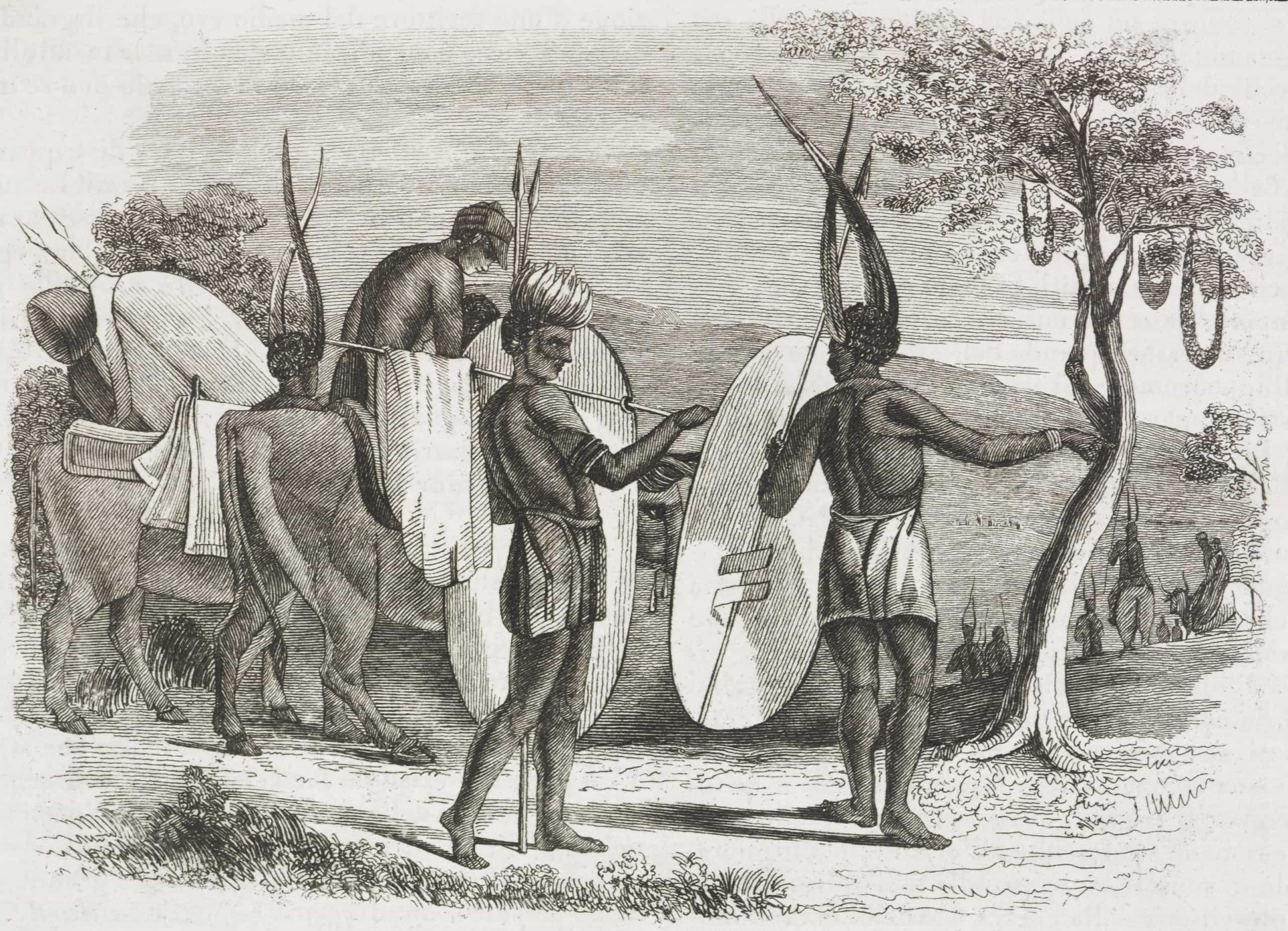 The most fascinating creation stories