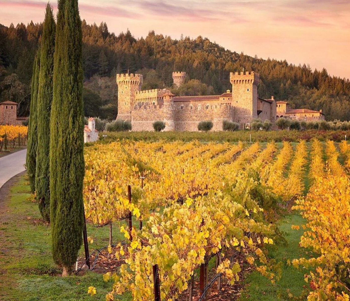 The most beautiful vineyards in the world