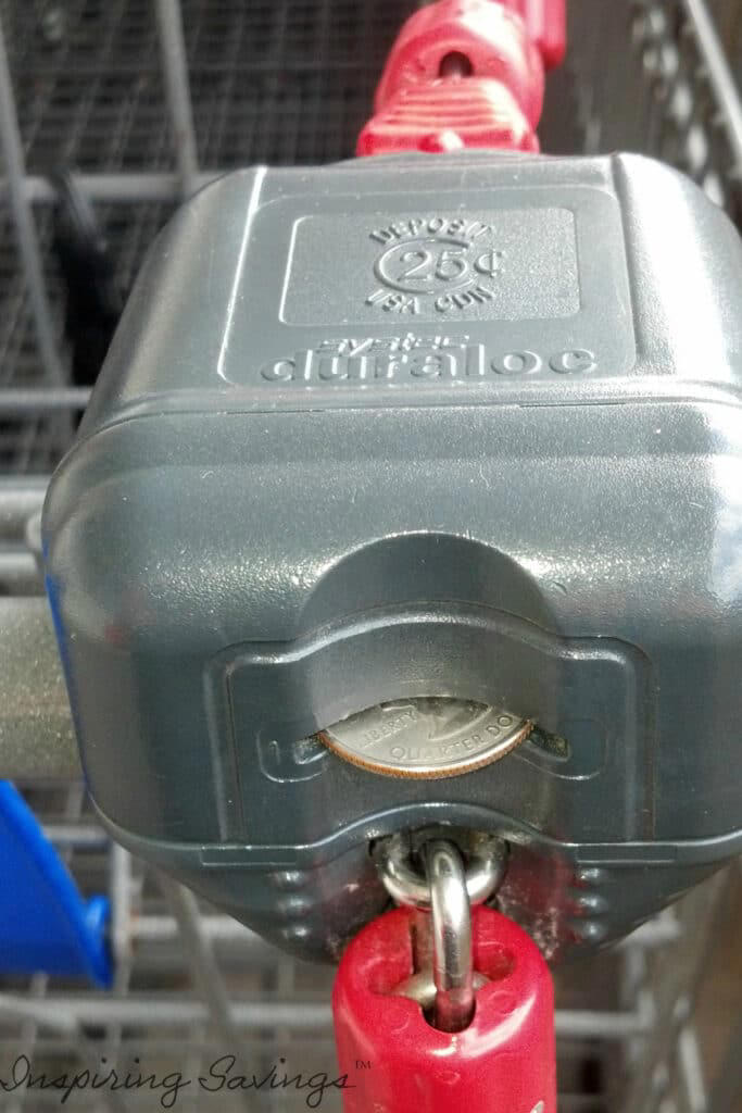 Unveiling ALDI's best-kept secrets: What to grab and what to skip