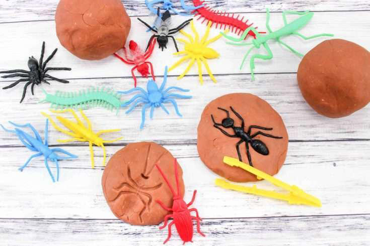 27 Cute Bug Crafts for Kids