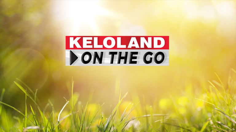 How to safely handle food and medicine in a power outage