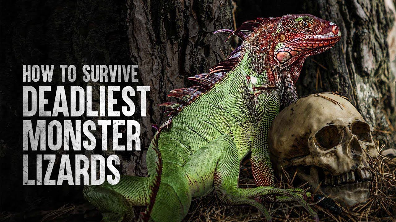 Monster Lizards That Prove Nature’s Most Terrifying Creatures Exist