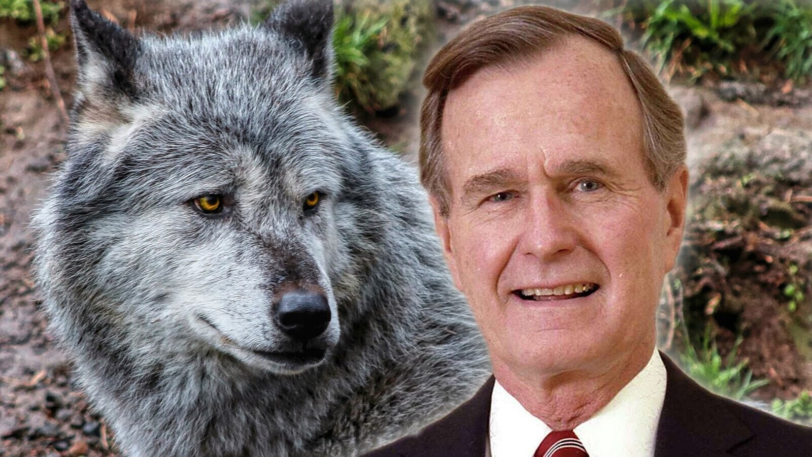 14 of the Best Presidential Secret Service Code Names