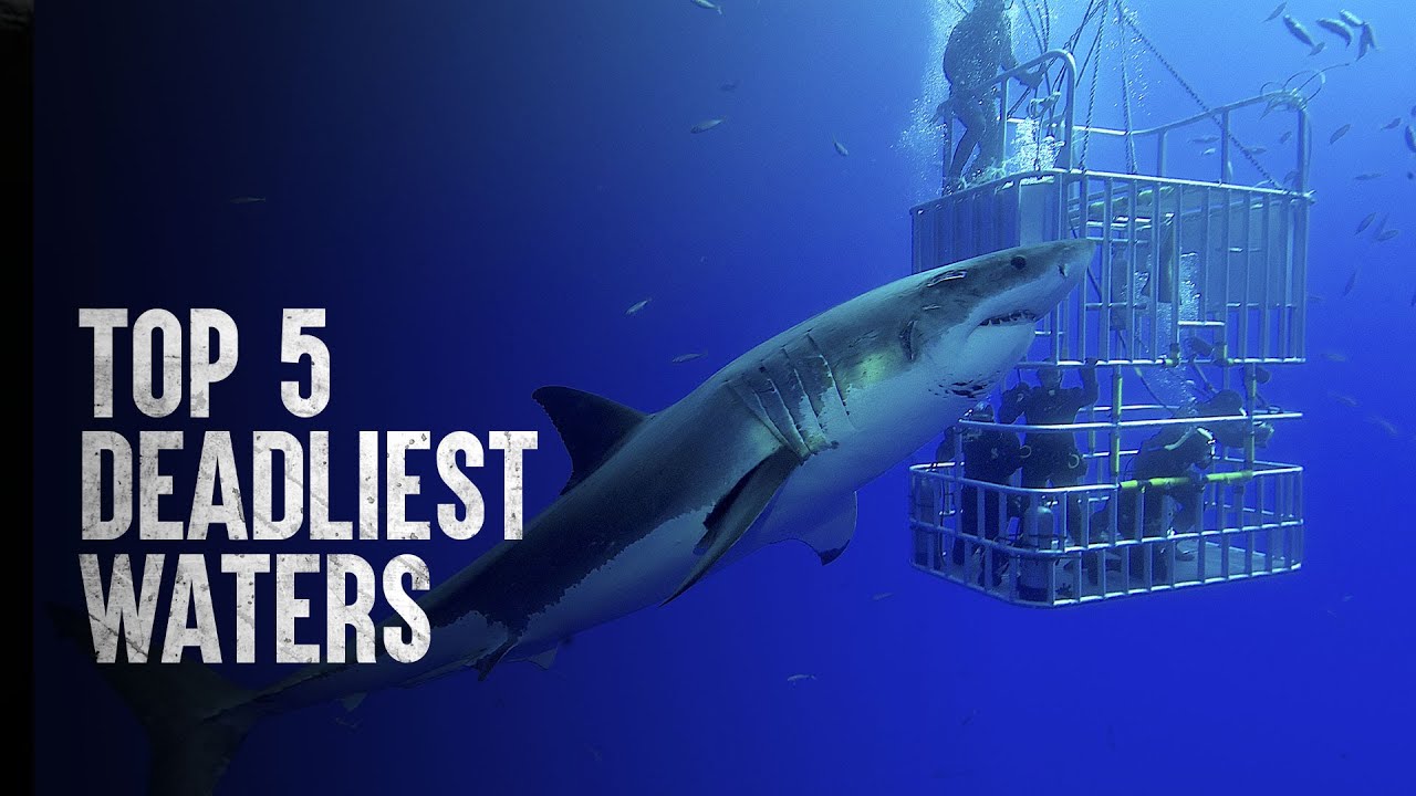 The world's most dangerous swimming spots