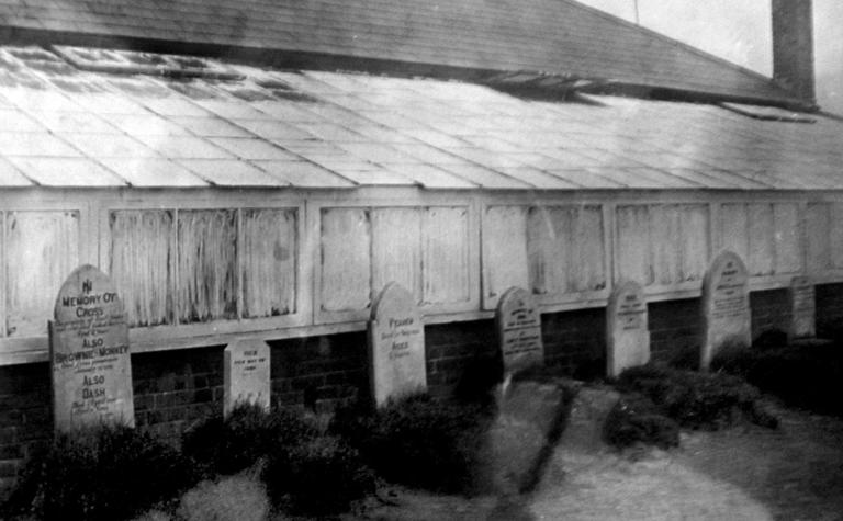 14 incredible photos showing the impressive Whale Island