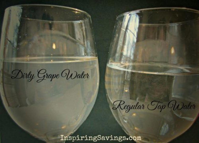 How to Wash Grapes and Keep Them Fresh Before Eating