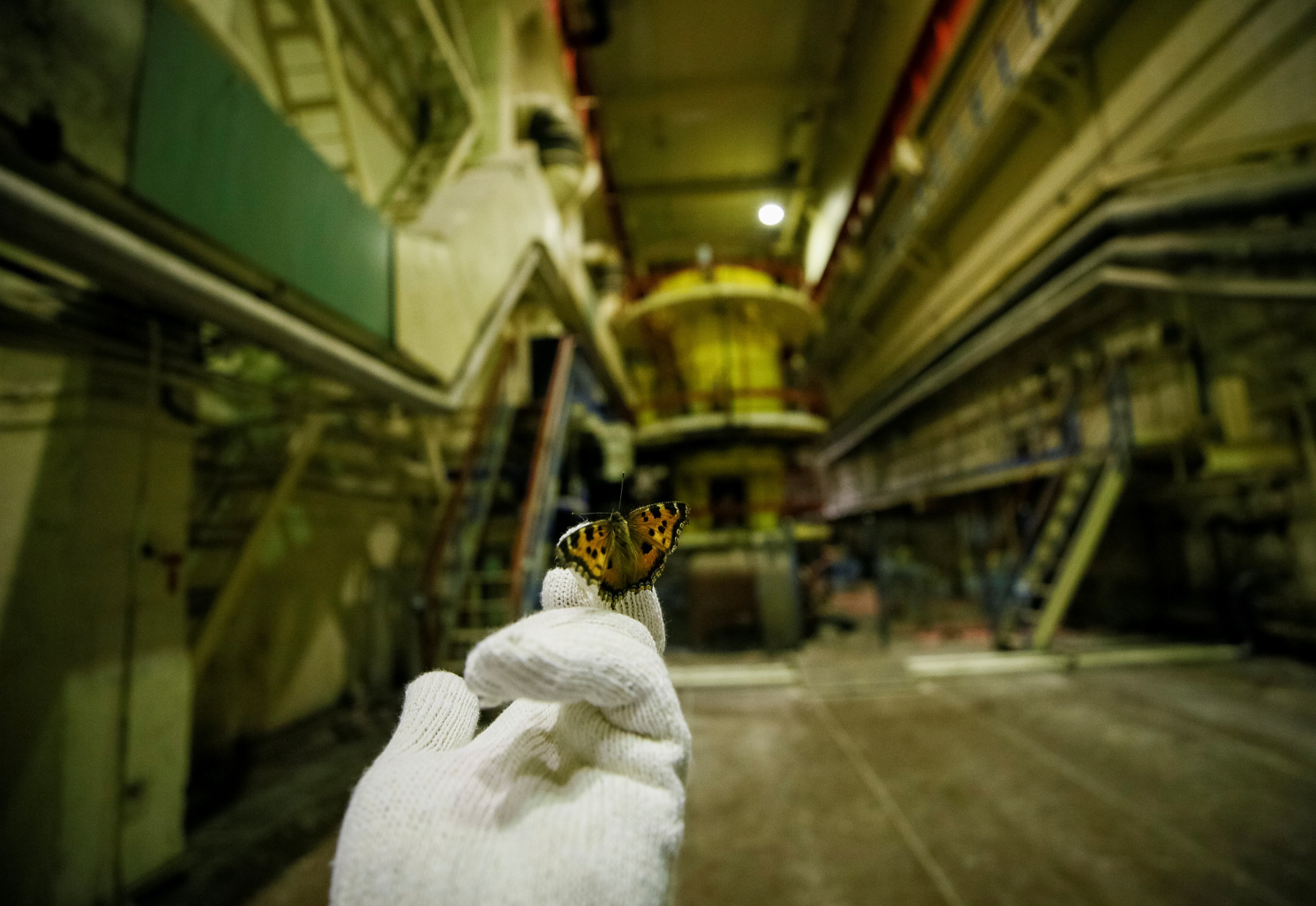 Chernobyl: See what remains 40 years later