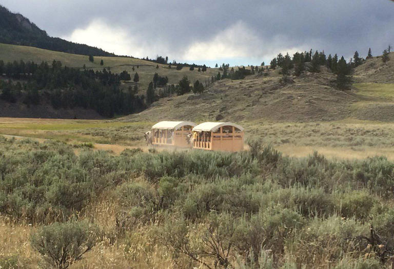 From Wildlife Watching to the Old West Cookout: 11 Top Things to Do at ...