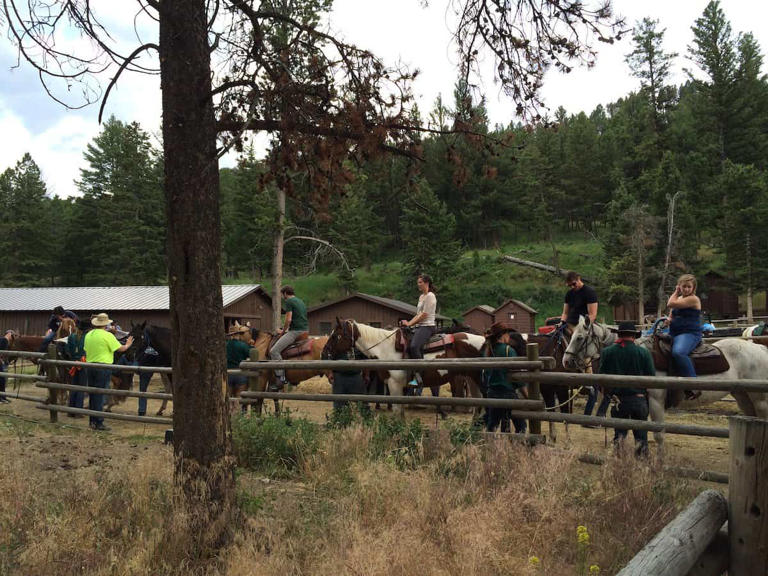 From Wildlife Watching to the Old West Cookout: 11 Top Things to Do at ...