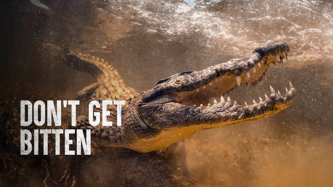 Surviving the Most Dangerous Animal Bites