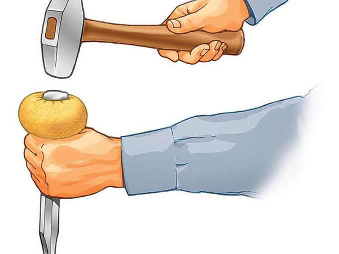 110 Extraordinary Uses for Ordinary Household Items