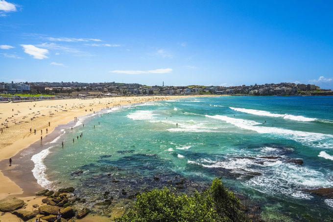 The Most Shark-Infested Waters in the World