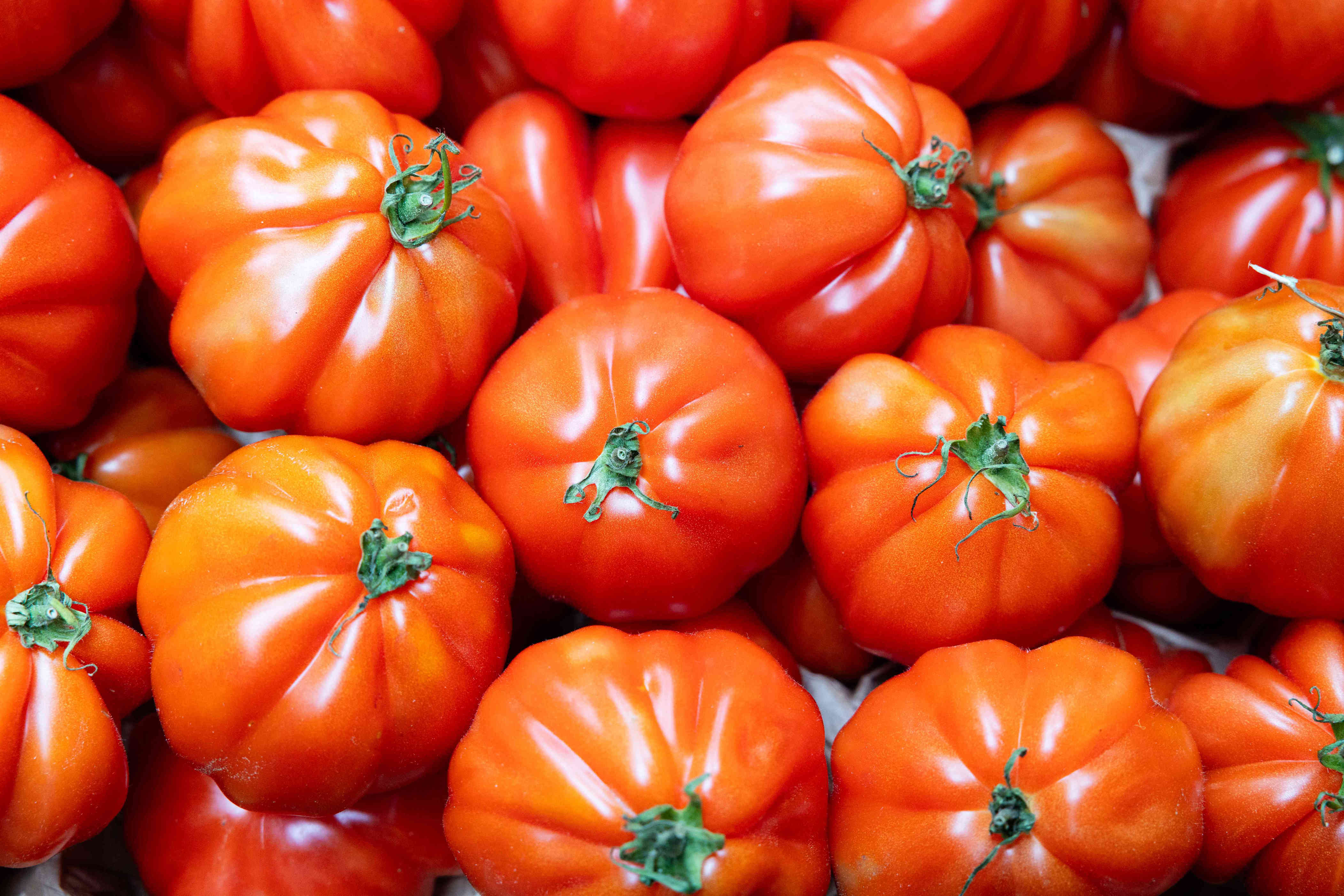 The Dos And Don'ts Of Beefsteak Tomatoes, According To Grumpy