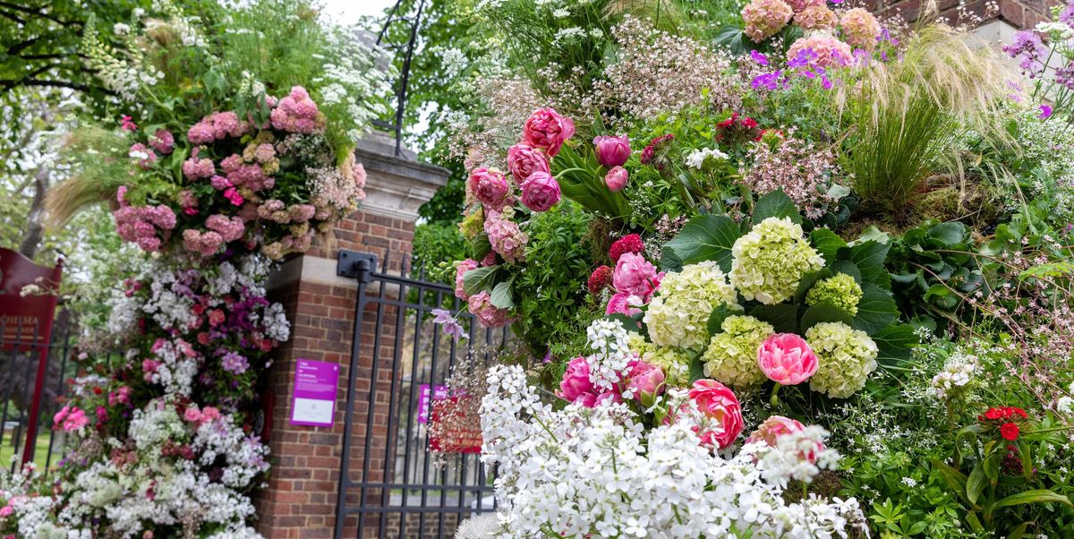 All the changes to RHS flower shows in 2025 and beyond – including a ...