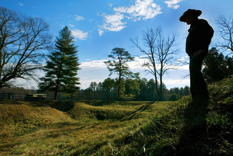 Tree removal to cause road closure at Petersburg National Battlefield