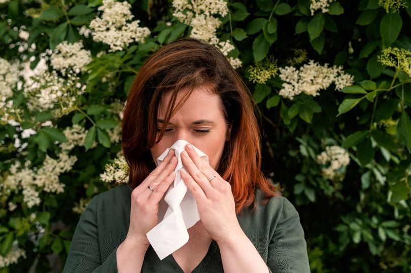 Met Office explains when hay fever season starts in the UK
