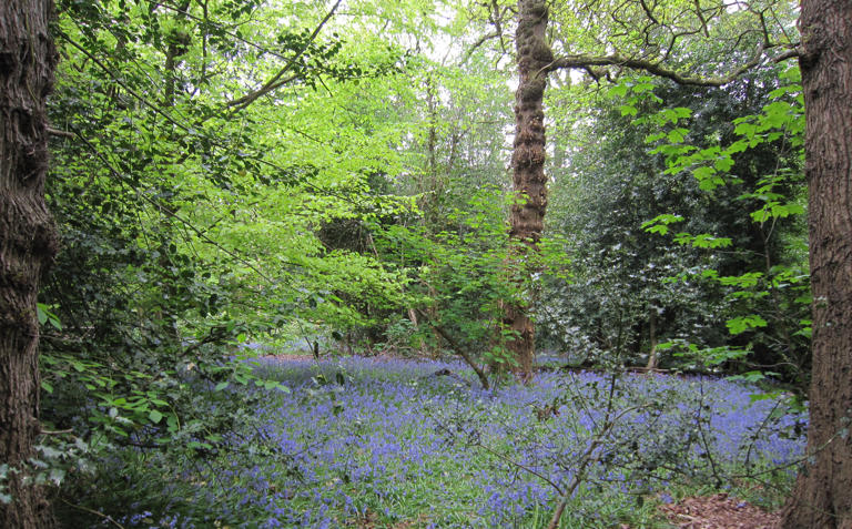 I love England’s green and pleasant land – these 15 West Midlands spots ...