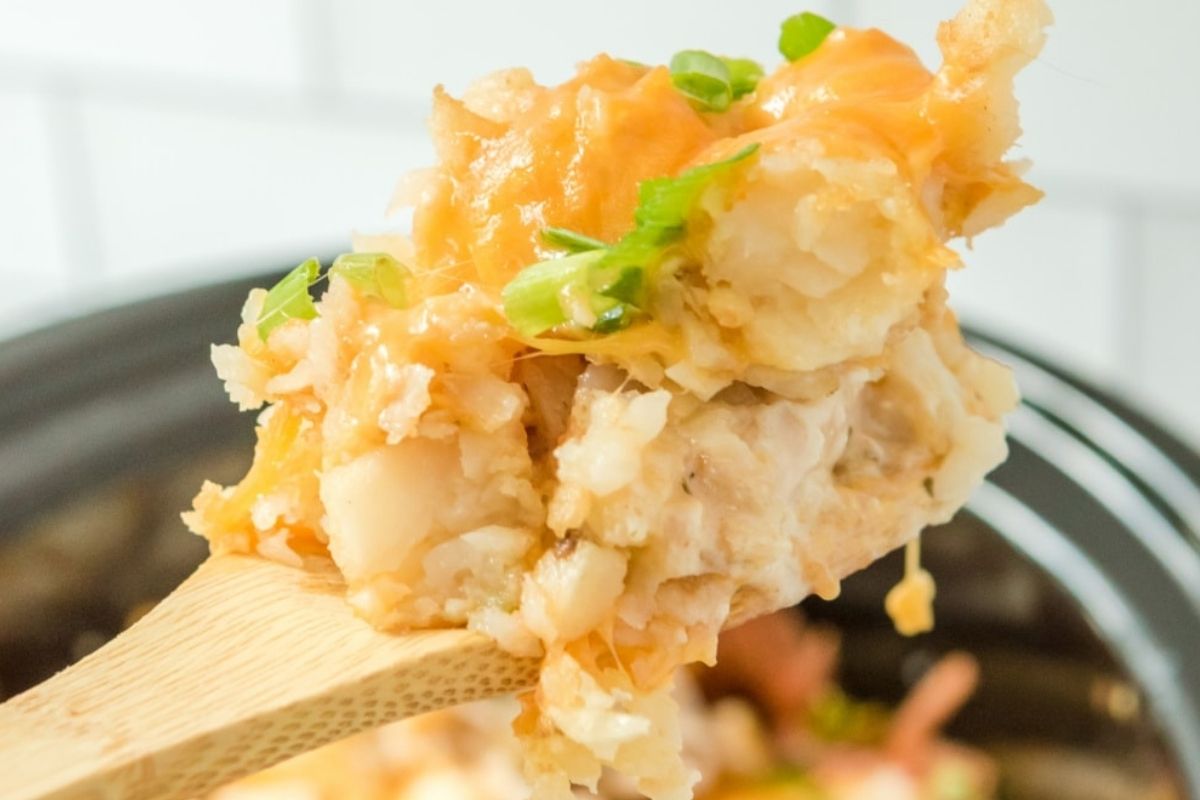 20 reader-favorite savory cream cheese recipes for your table