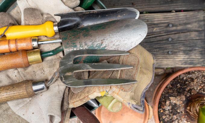 22 Genius Gardening Hacks You’ll Be Glad You Know