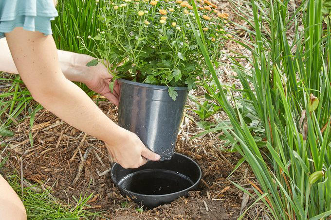22 Genius Gardening Hacks You’ll Be Glad You Know