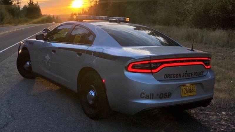 Oregon State Police seek assistance after deer shot with arrow in ...